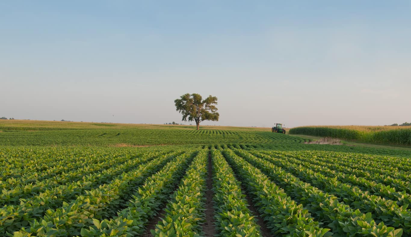 Hedge-to-Arrive | Grain Marketing Contracts from ADM Advantage