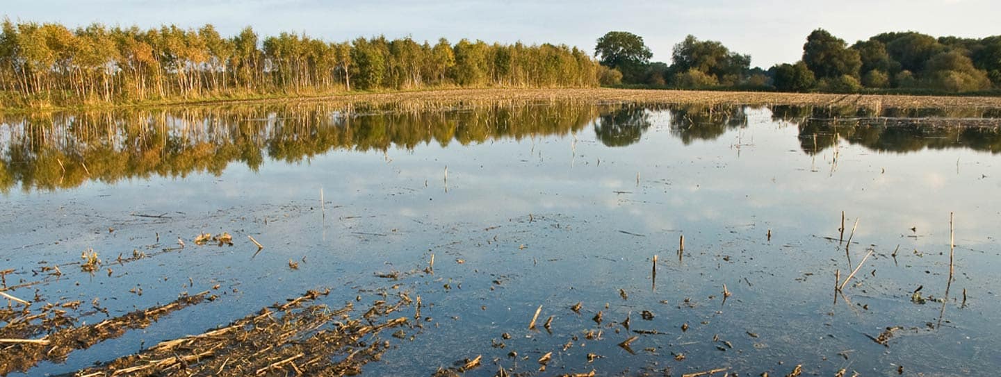 Prevented Planting in 2019 | Helping Farmers Process Timely Decisions ...