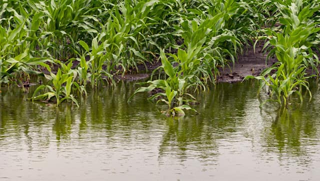 Crop Risk Services - ADM Advantage